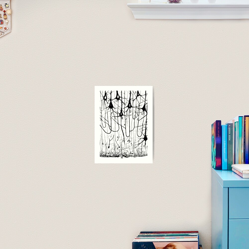 "Neuron Pyramidal Cells Drawing by Santiago Ramon Y Cajal" Art Print ...