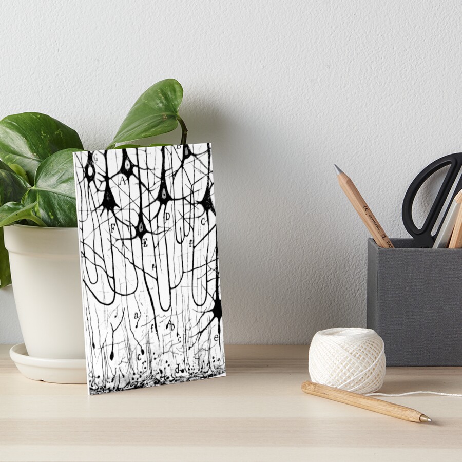 "Neuron Pyramidal Cells Drawing by Santiago Ramon Y Cajal" Art Board ...