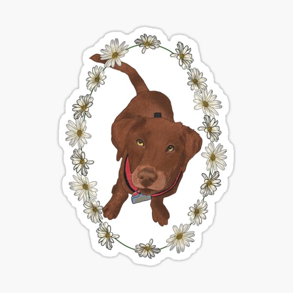 "Dog with Daisies" Sticker by -abigaeljean- | Redbubble