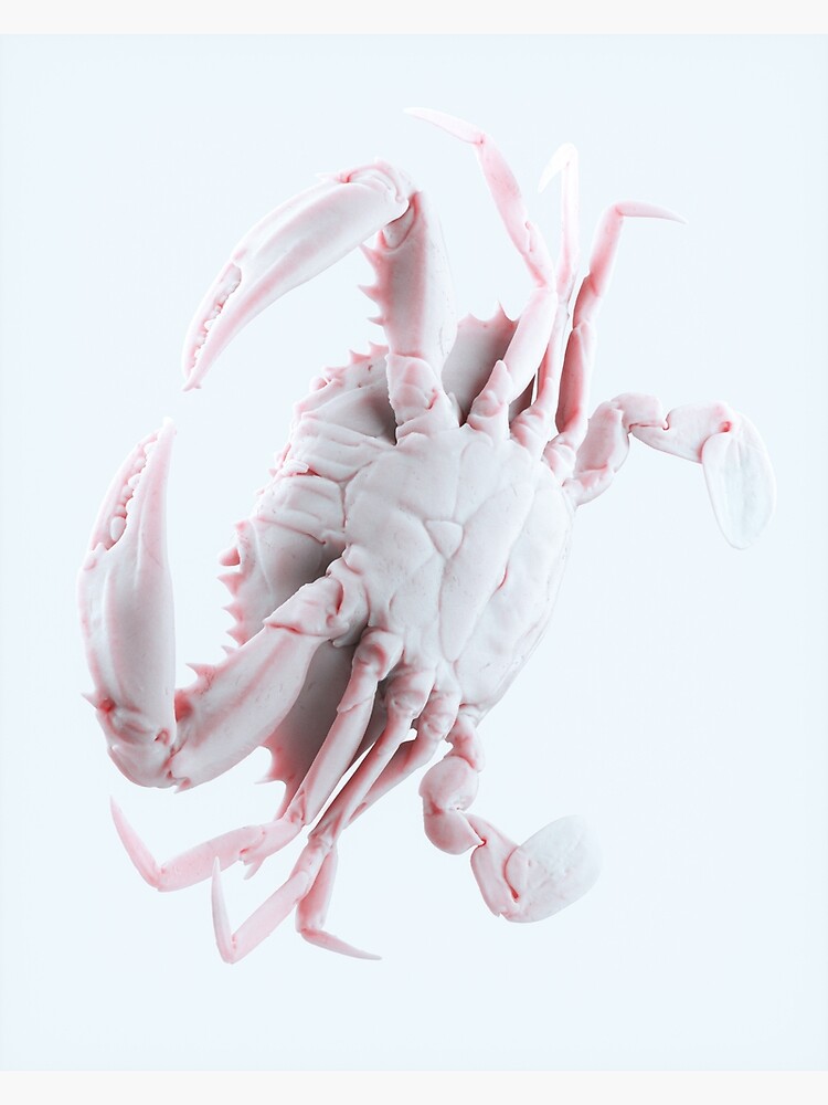 "Flap" Poster by TFMSTYLE | Redbubble