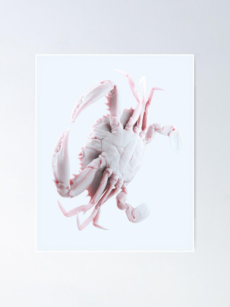 "Flap" Poster by TFMSTYLE | Redbubble