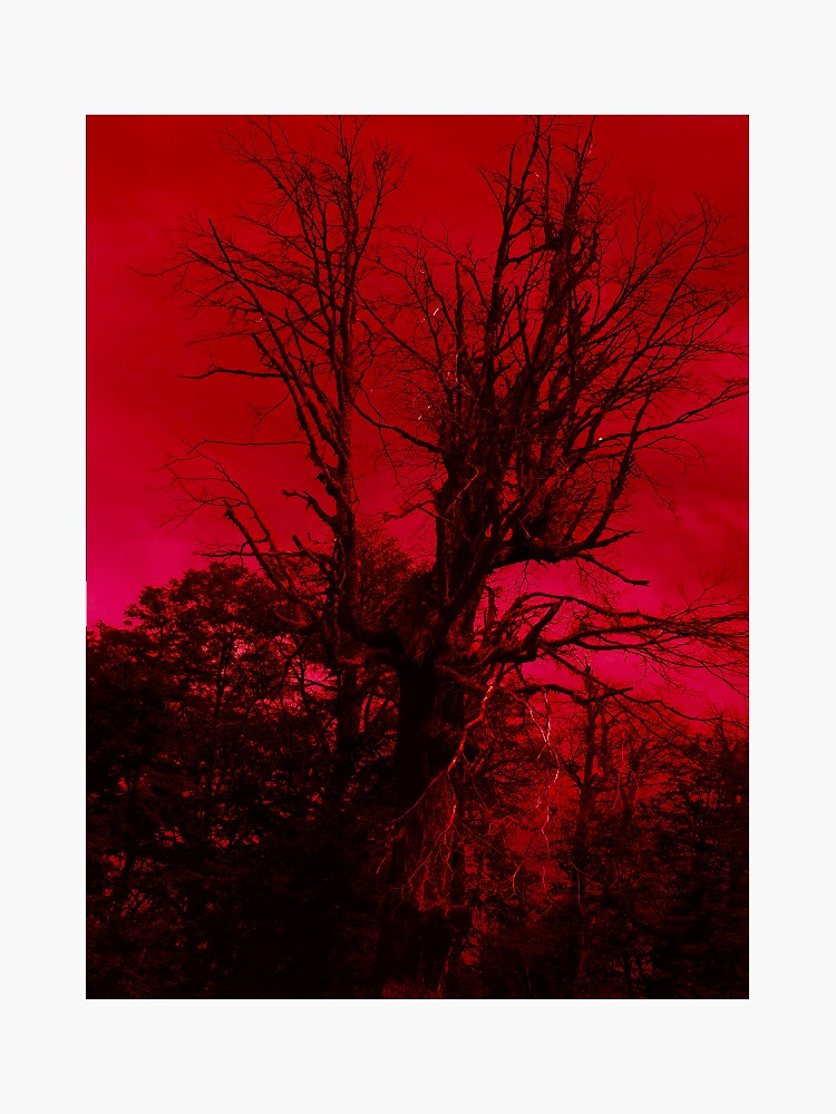 "Dark Red Tree photograph" Sticker for Sale by AgustinLuk | Redbubble