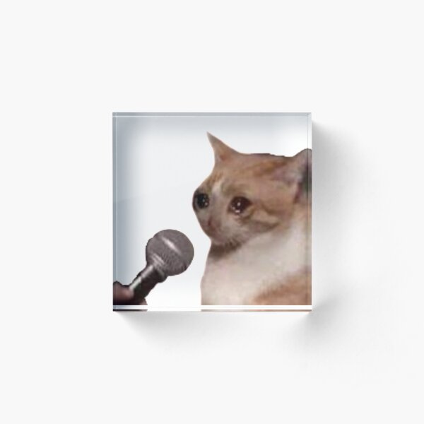 "Crying Cat Microphone Meme - Crying Cat Meme Crying Cat Microphone ...