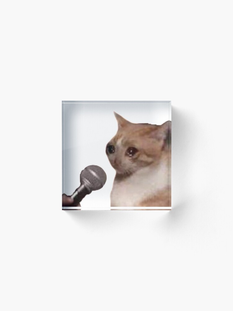 Bloque Acrílico Meme De Micrófono De Gato Llorando Meme De Gato