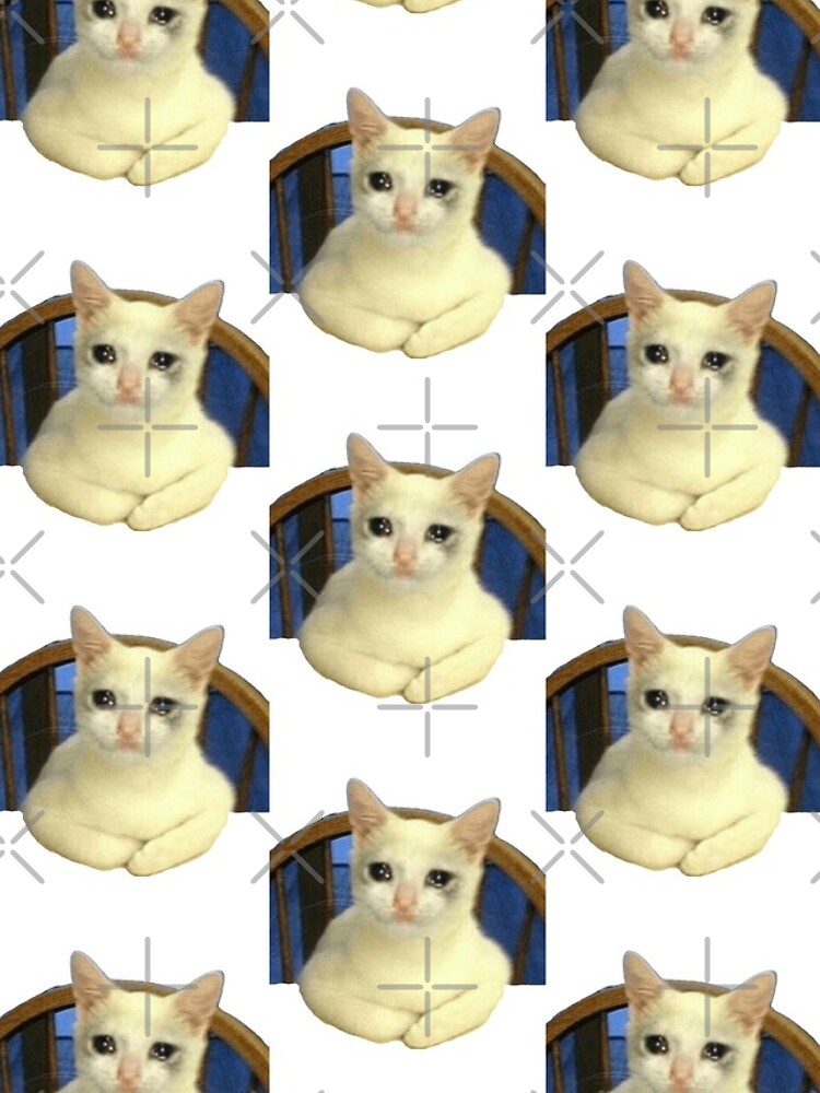 "Crying Cat Chair Meme - Crying Cat Meme Crying Cat Chair Meme, Cat ...