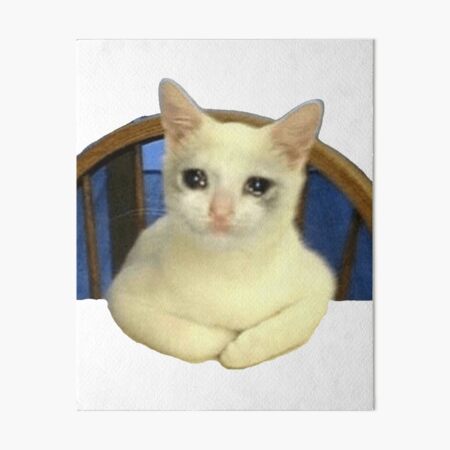 "Crying Cat Chair Meme - Crying Cat Meme Crying Cat Chair Meme, Cat ...