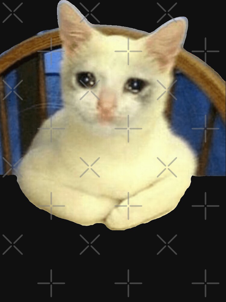 "Crying Cat Chair Meme - Crying Cat Meme Crying Cat Chair Meme, Cat ...