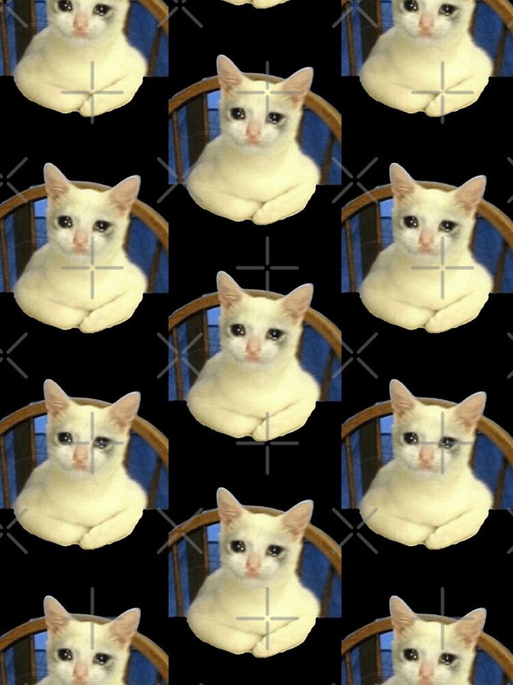 "Crying Cat Chair Meme - Crying Cat Meme Crying Cat Chair Meme, Cat ...