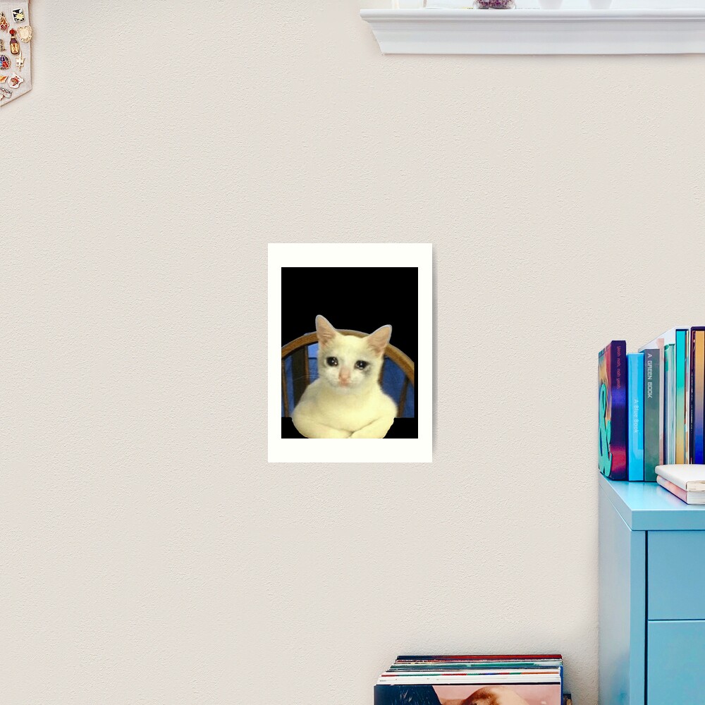 "Crying Cat Chair Meme - Crying Cat Meme Crying Cat Chair Meme, Cat ...