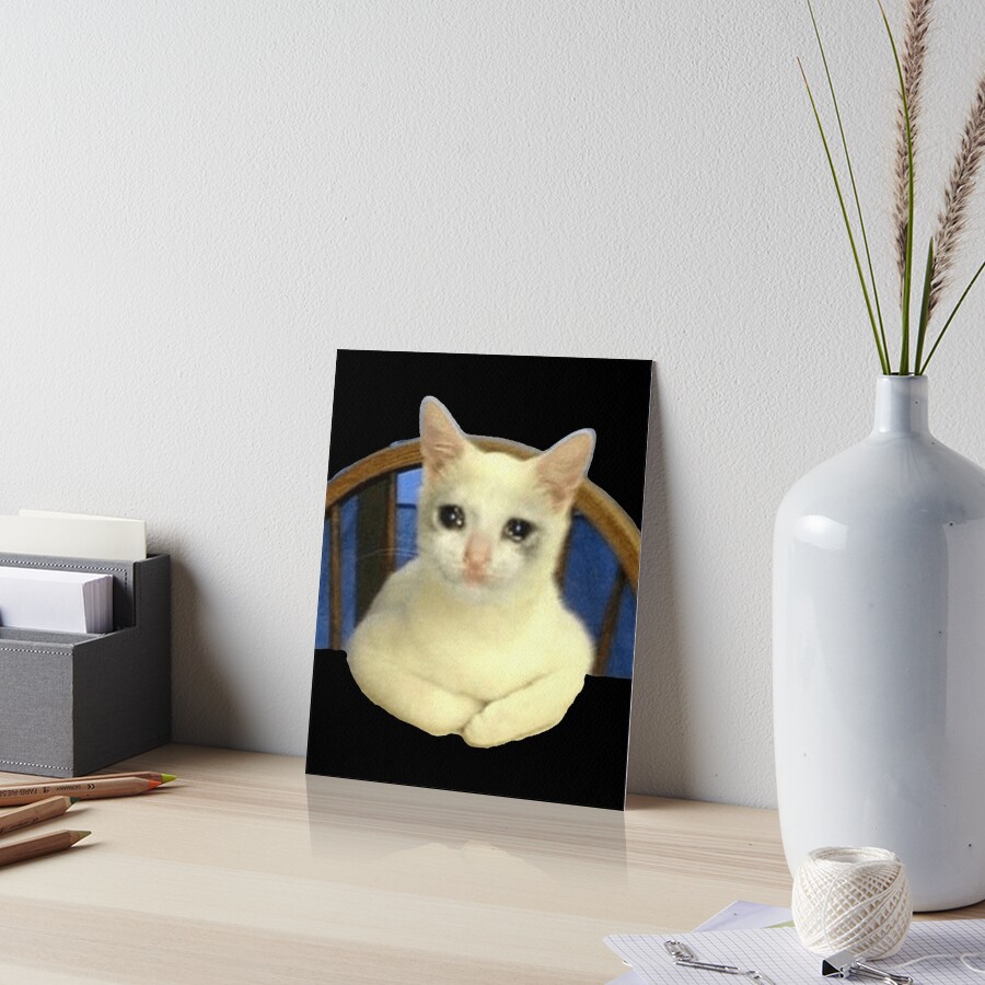 "Crying Cat Chair Meme - Crying Cat Meme Crying Cat Chair Meme, Cat ...