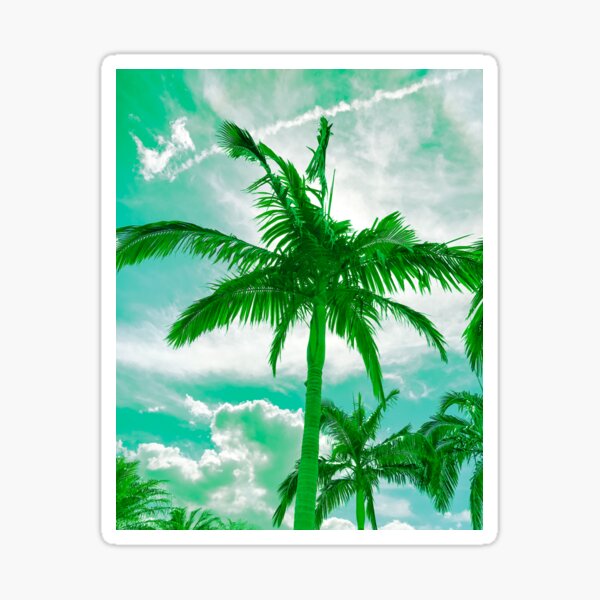 "Glückliche grüne Palmen" Sticker von ejd90 | Redbubble