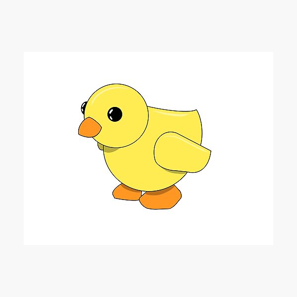 "Adopt Me Chick" Photographic Print for Sale by Mochi-Pop | Redbubble