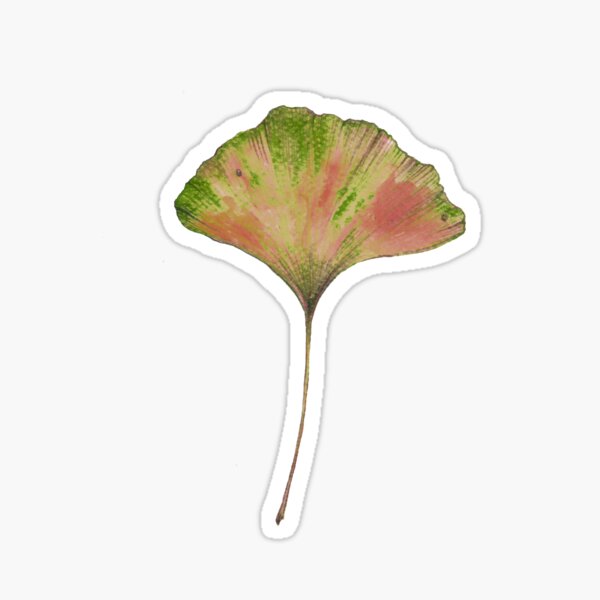 "Pink Ginko " Sticker for Sale by BohoMoon | Redbubble