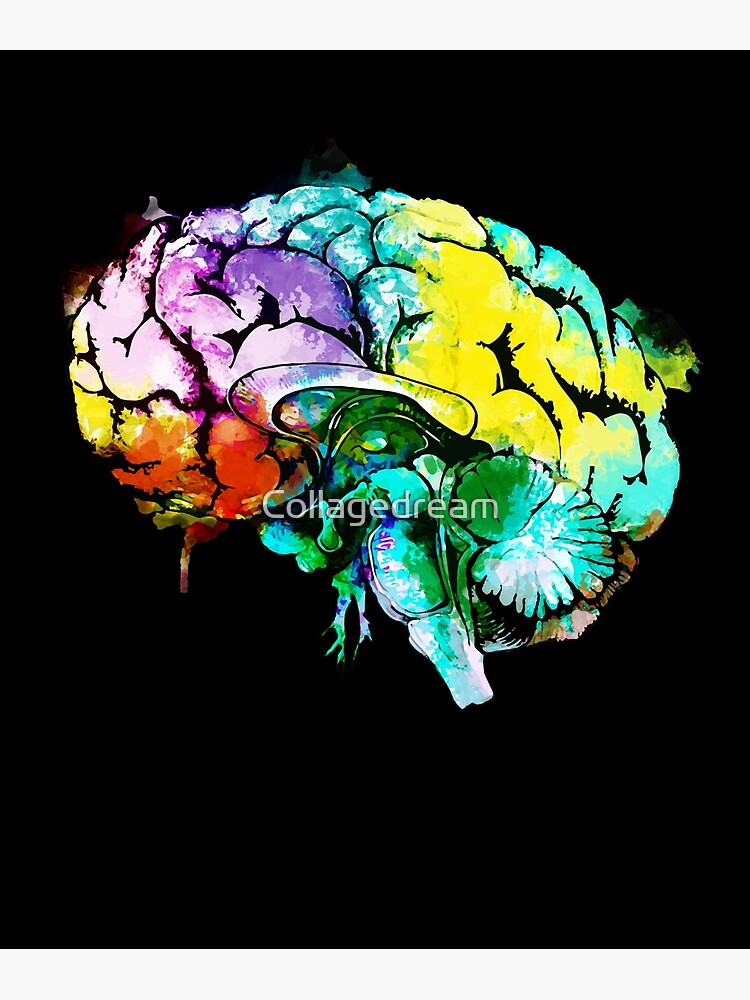 "Watercolor Mental health brain art psychology colorfull" Art Print by ...