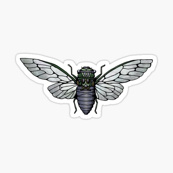 "Cicada" Sticker by inkdust- | Redbubble