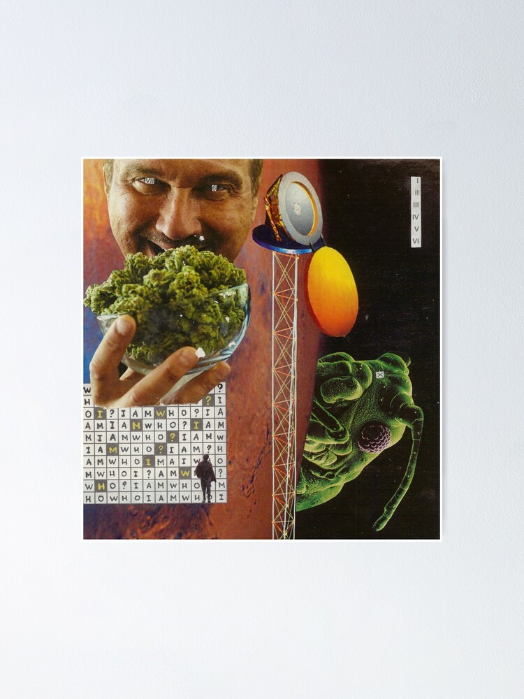 "Handmade collage Who am I" Poster by Light-Source | Redbubble