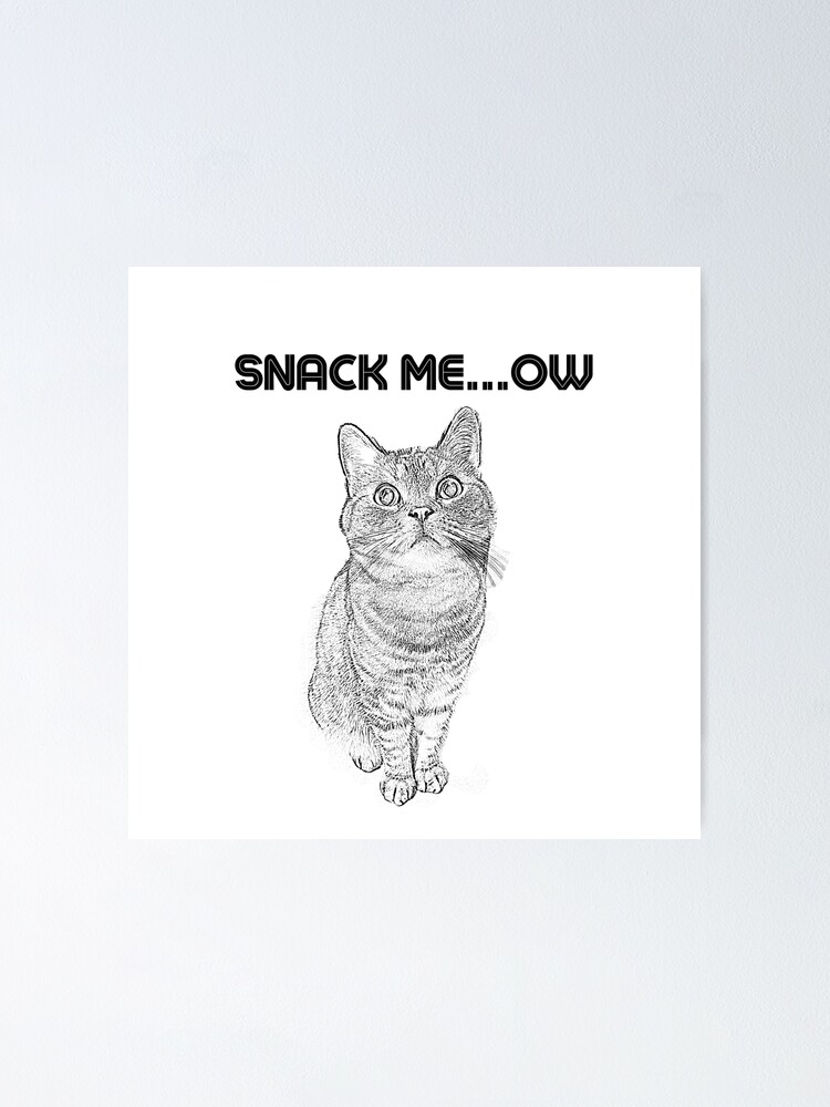 "HUNGRY CAT ASKING FOR SNACK BY HIS LOOK" Poster by Catbonara | Redbubble