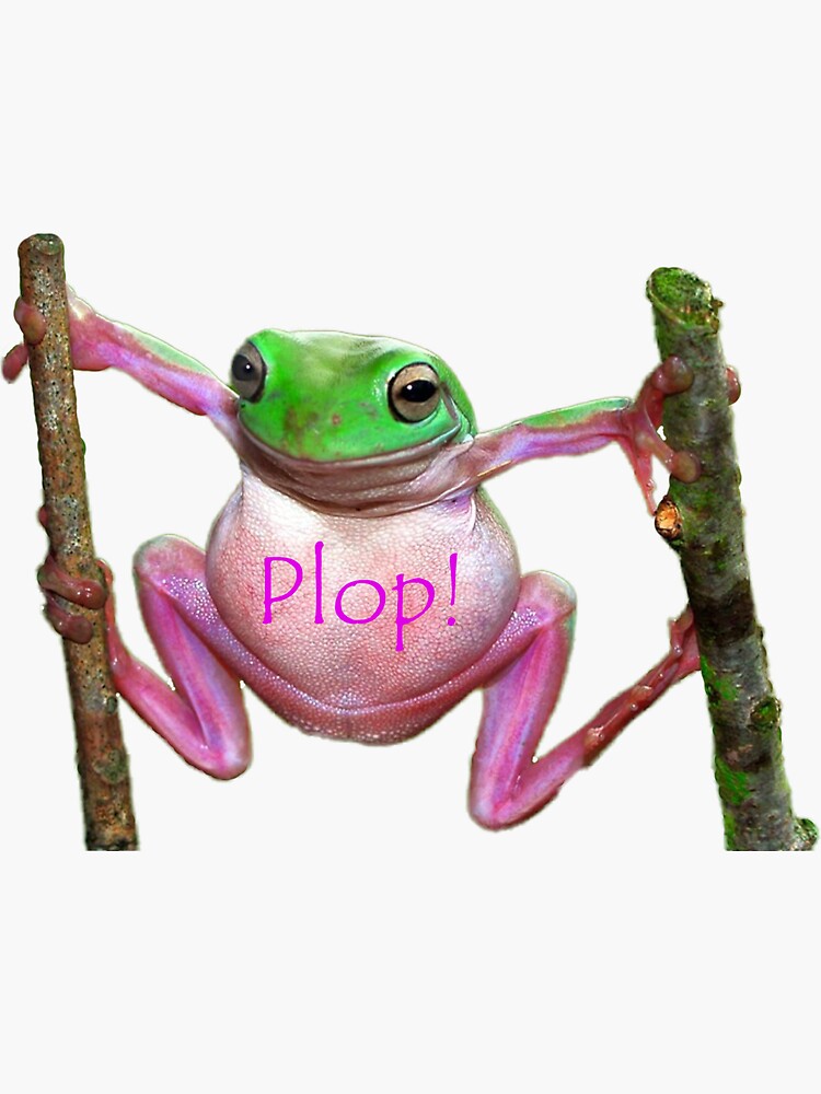 "Cute Frog Plop" Sticker for Sale by xyzmattc | Redbubble