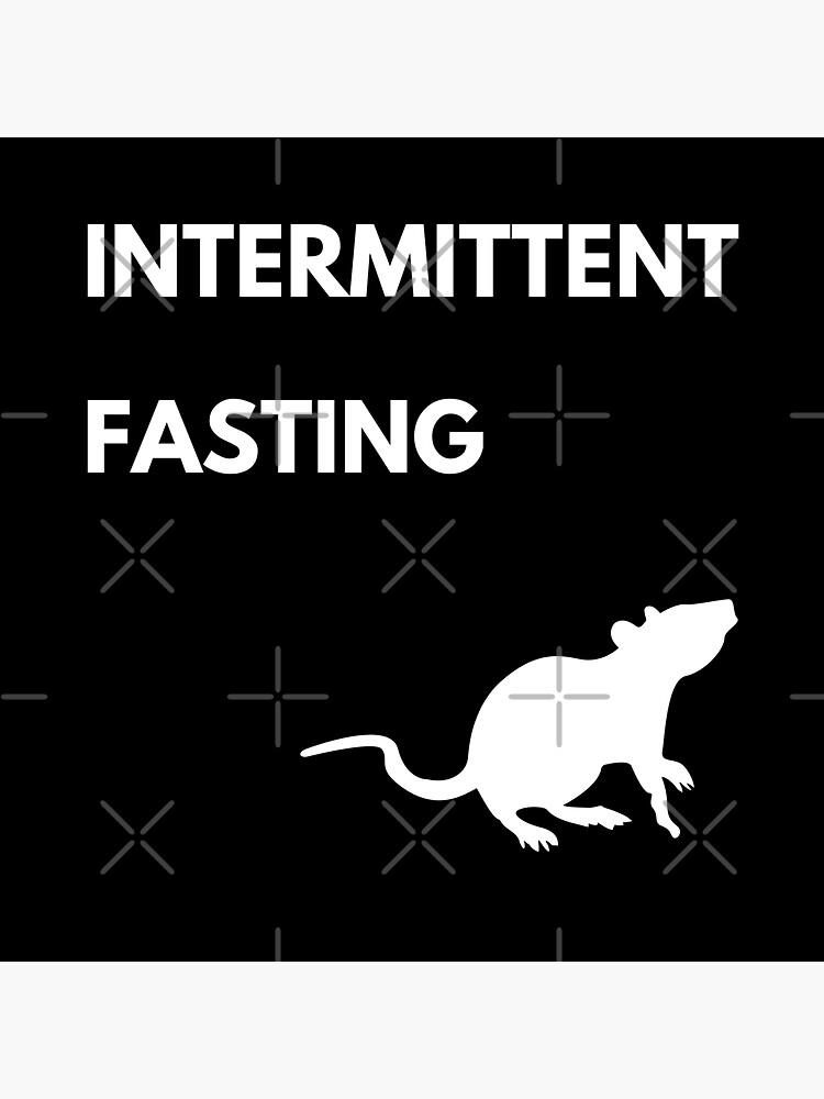 "Intermittent Fasting - Rat" Sticker for Sale by AnnieDesignCo | Redbubble