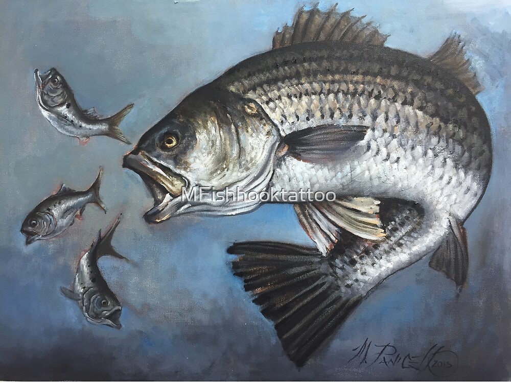 "Striped Bass Chasing Bunker" by MFishhooktattoo | Redbubble