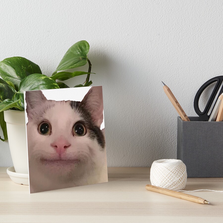 "Polite cat meme, funny cat meme" Art Board Print by ElevenGraphics ...