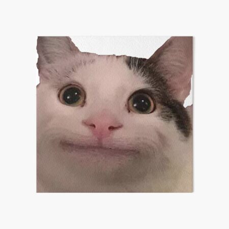 "Polite cat meme, funny cat meme" Art Board Print by ElevenGraphics ...