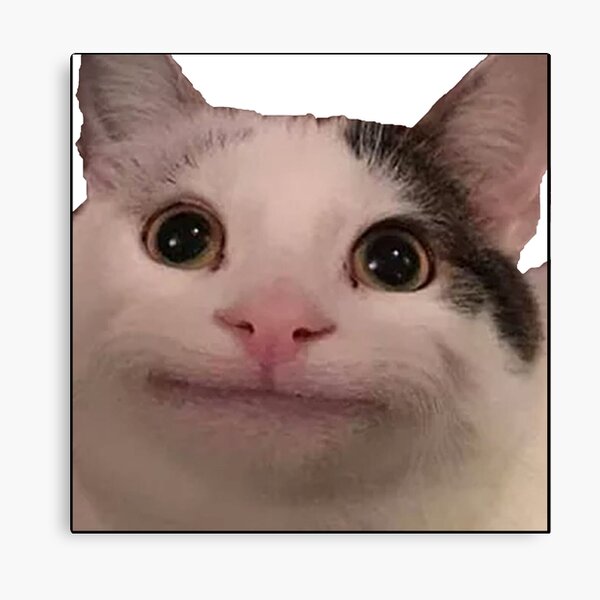 "Polite cat meme, funny cat meme" Canvas Print for Sale by ElevenGraphics | Redbubble