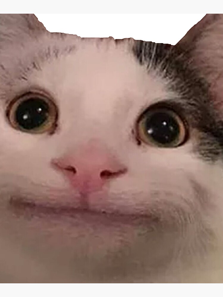 "Polite cat meme, funny cat meme" Tote Bag for Sale by ElevenGraphics ...