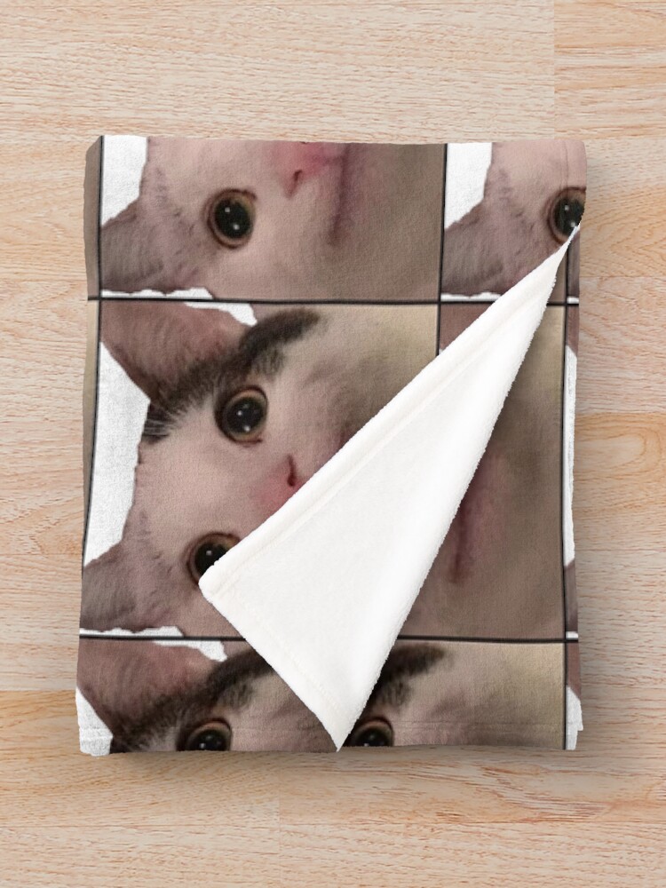 Manta «Meme gato educado, meme gato gracioso» de ElevenGraphics | Redbubble