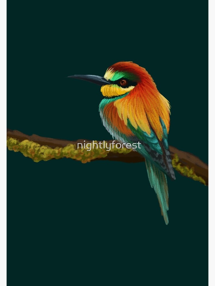 "Bee-eater Bird Illustration" Poster by nightlyforest | Redbubble