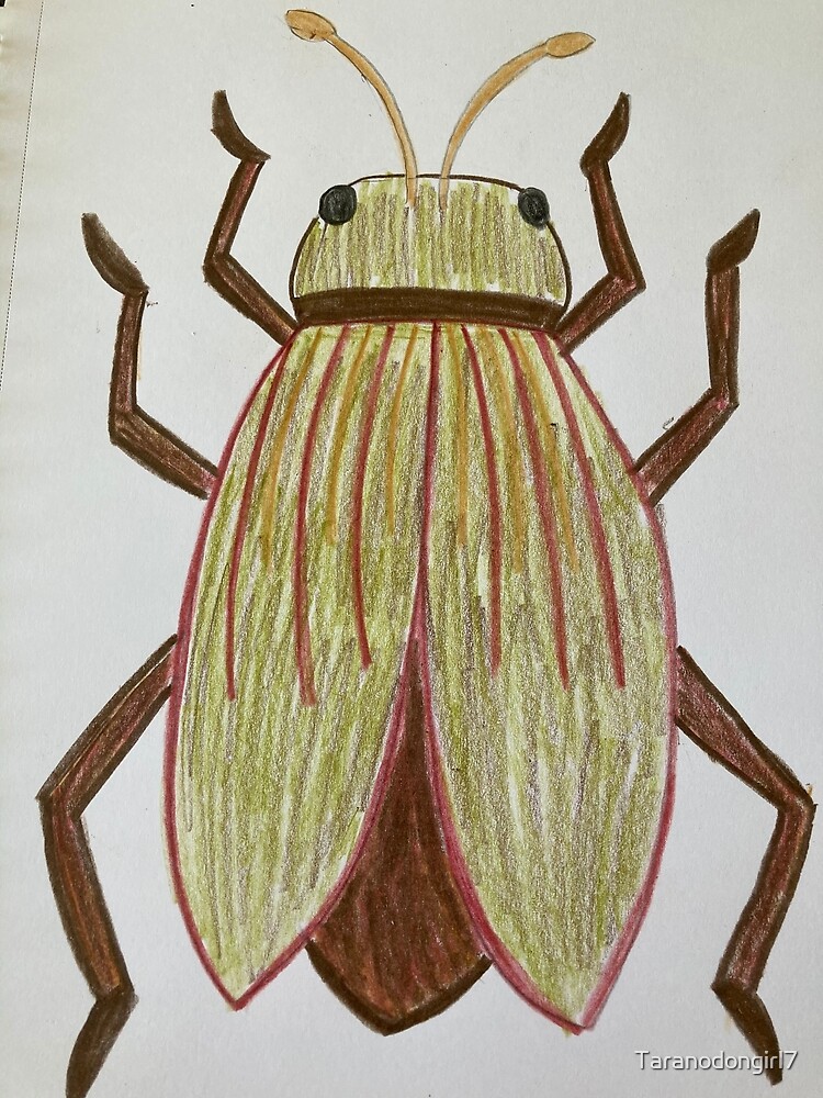 "Cool Beetle Drawing" Art Print for Sale by Taranodongirl7 | Redbubble