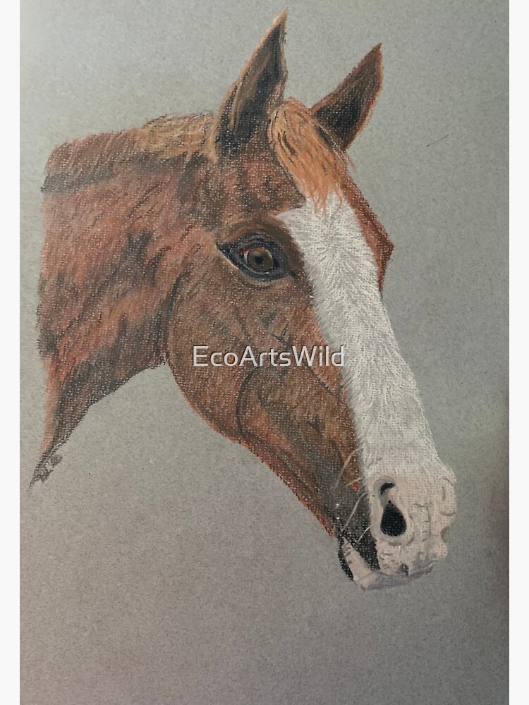 "Meggie" Sticker for Sale by EcoArtsWild | Redbubble