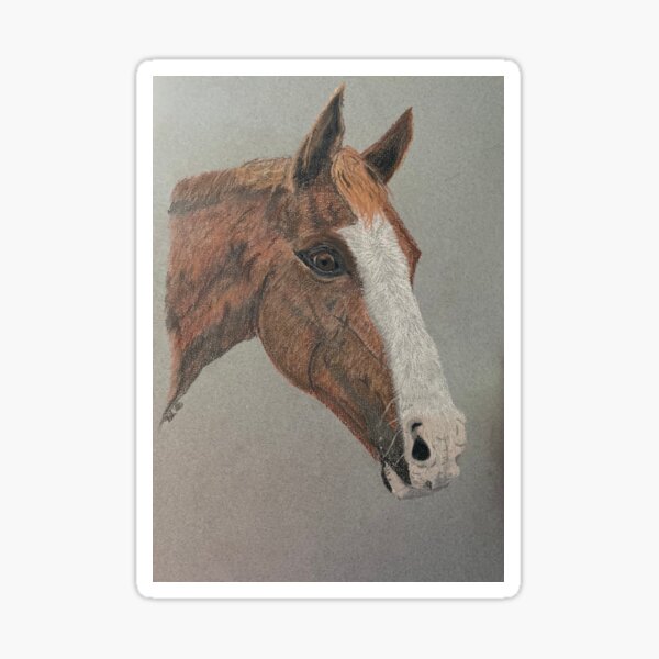 "Meggie" Sticker for Sale by EcoArtsWild | Redbubble