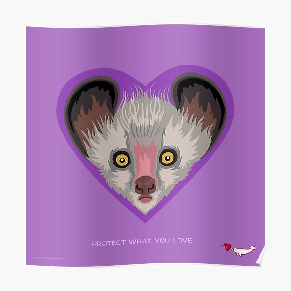 "LOVE: Lemurs (Aye-Aye)" Poster for Sale by PepomintNarwhal | Redbubble