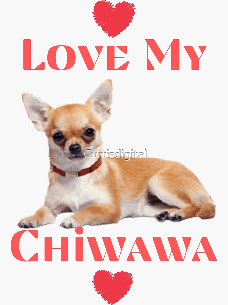 "I Love My Chiwawa" Sticker for Sale by Curtisdigital | Redbubble