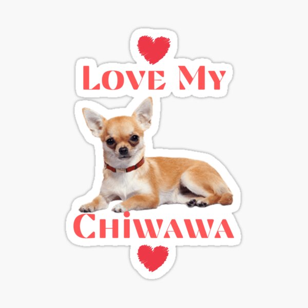 "I Love My Chiwawa" Sticker for Sale by Curtisdigital | Redbubble