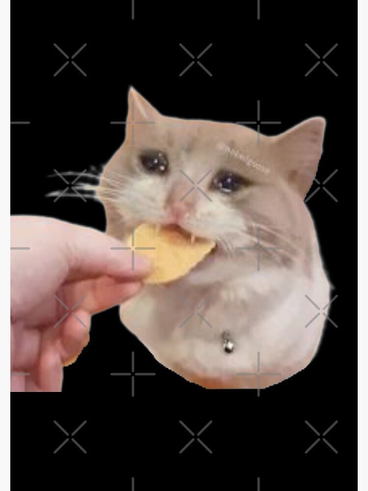 Cahier à spirale « Crying Cat Chip Meme - Crying Cat Meme Crying Cat ...