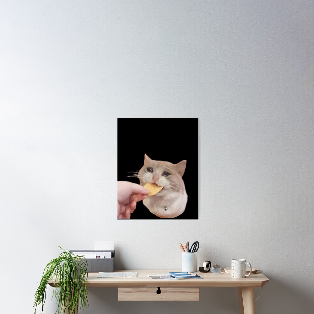 "Crying Cat Chip Meme - Crying Cat Meme Crying Cat Chip Meme, Cat Meme ...