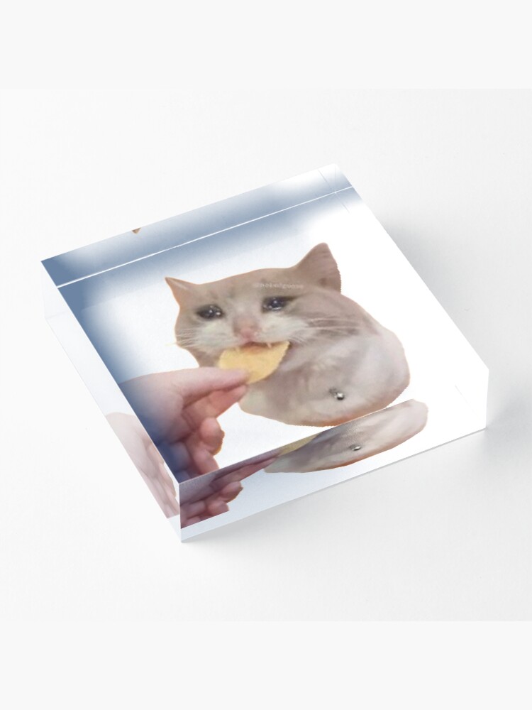 "Crying Cat Chip Meme - Crying Cat Meme Crying Cat Chip Meme ...