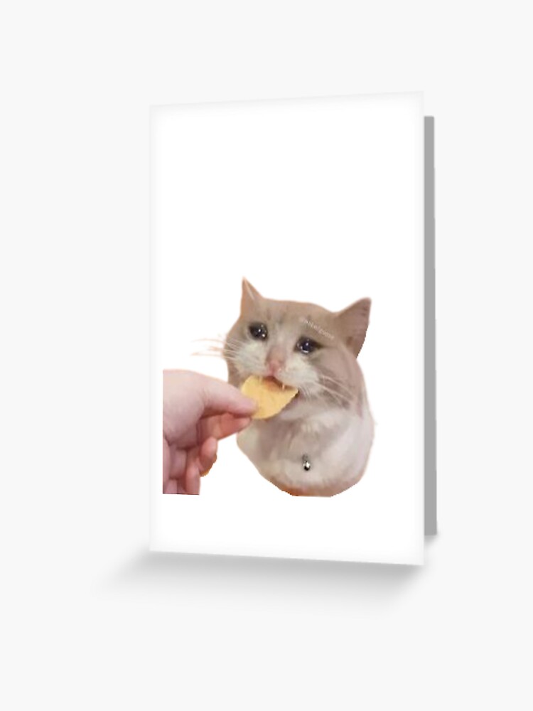 Crying Cat Chip Meme Crying Cat Meme Crying Cat Chip Meme Cat Meme