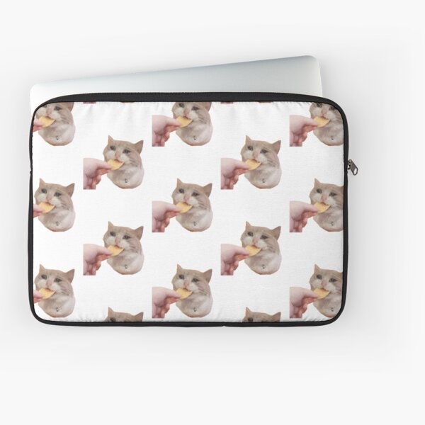 "Crying Cat Chip Meme - Crying Cat Meme Crying Cat Chip Meme, Cat Meme ...