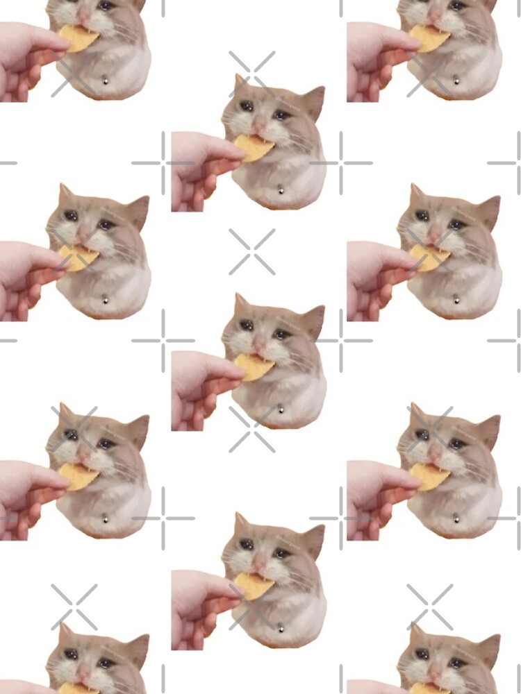 "Crying Cat Chip Meme - Crying Cat Meme Crying Cat Chip Meme, Cat Meme ...