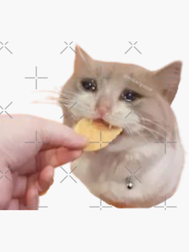 "Crying Cat Chip Meme - Crying Cat Meme Crying Cat Chip Meme, Cat Meme ...