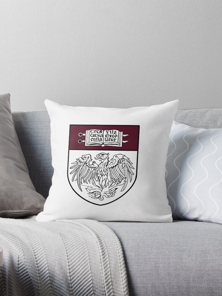 "University of Chicago Sticker" Sticker for Sale by neeneeneen | Redbubble