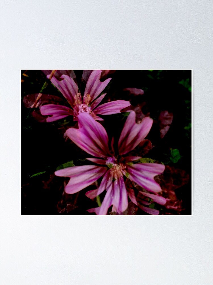 "floral cache" Poster for Sale by EMI-Design | Redbubble