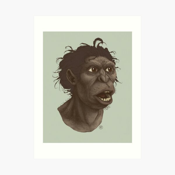 "Homo habilis" Art Print for Sale by Ettore-Mazza | Redbubble