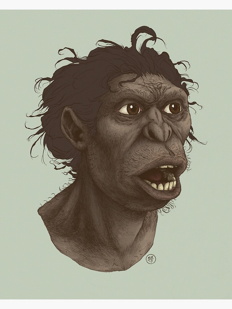"Homo habilis" Art Print for Sale by Ettore-Mazza | Redbubble