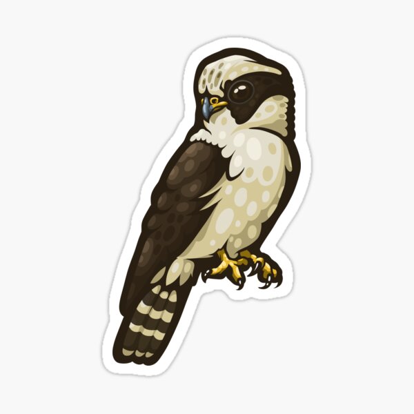 "Laughing Falcon" Sticker by Ginboy | Redbubble