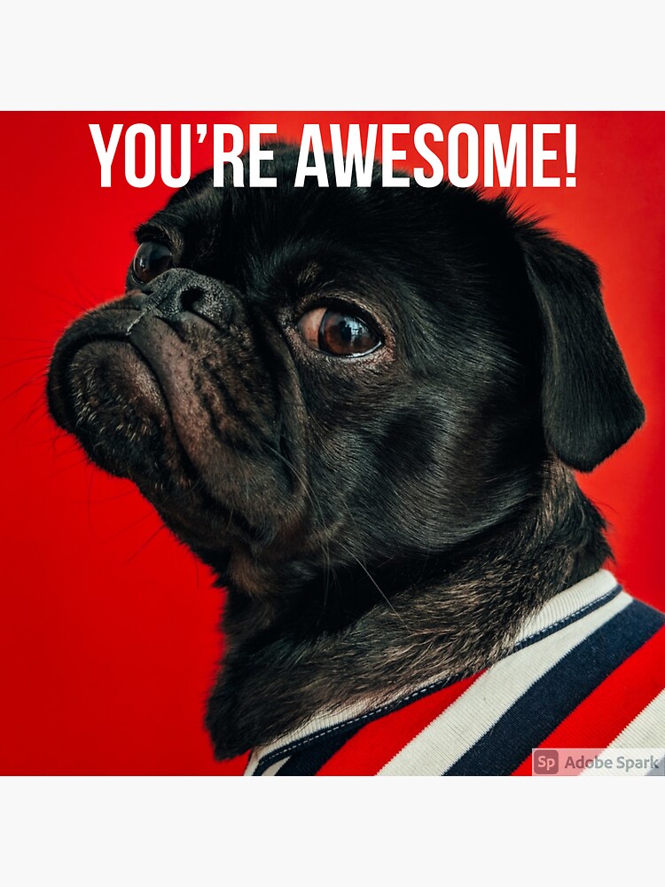 "Pug says you are awesome" Sticker for Sale by ttser-19 | Redbubble