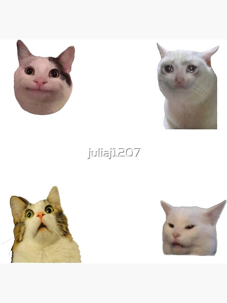 "Cat Meme Sticker Pack" Photographic Print for Sale by juliaj1207 ...